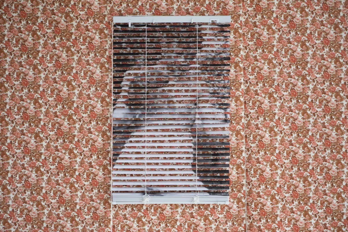 Katie Gabra | Edinburgh College of Art Graduate Show 2024