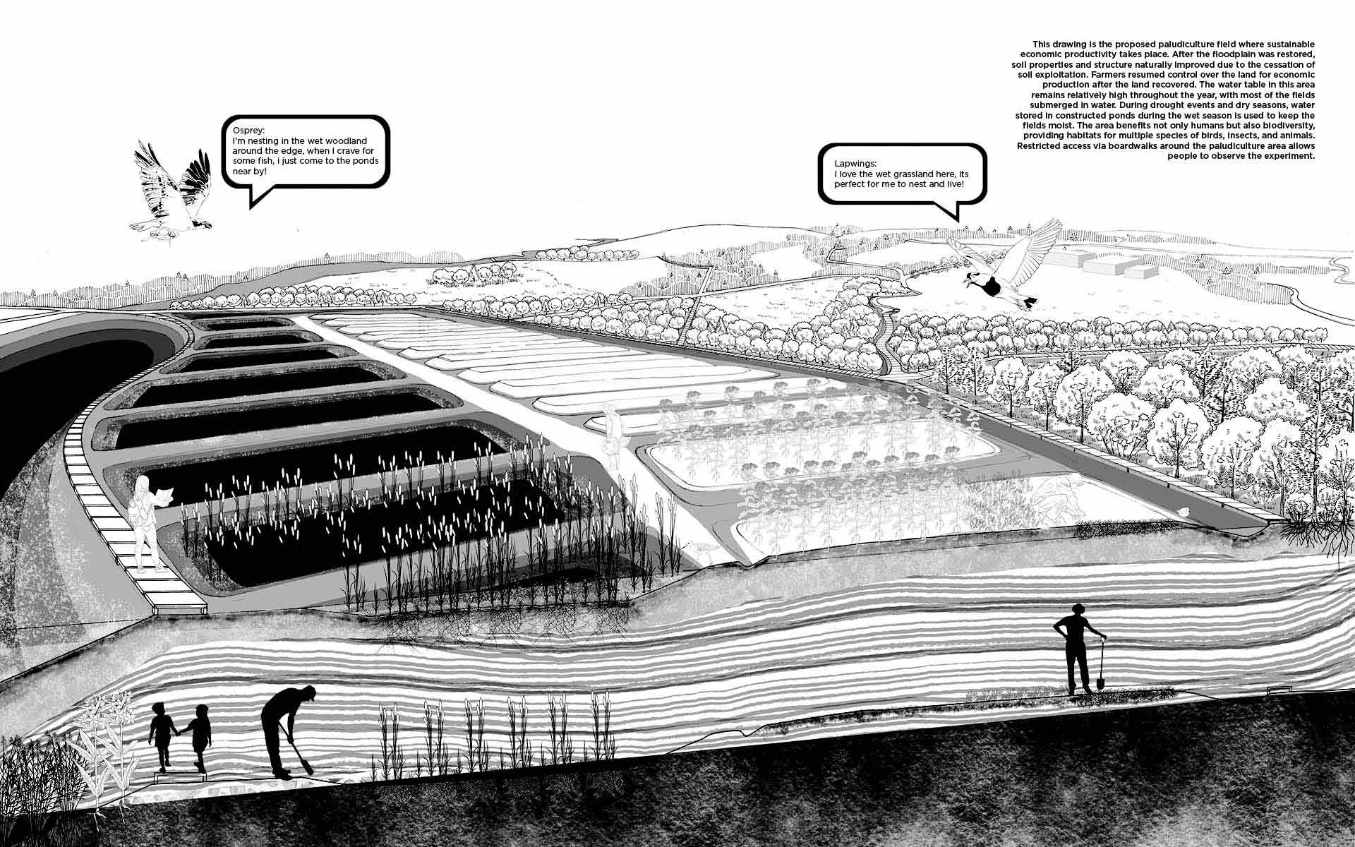 Yuqing (Jenny) Wang | Edinburgh College of Art Graduate Show 2024