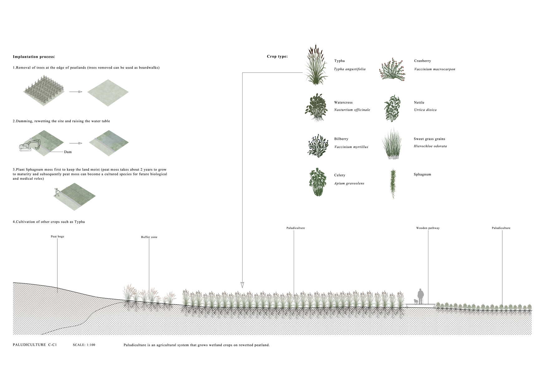 Qixiang Lai | Edinburgh College of Art Graduate Show 2024